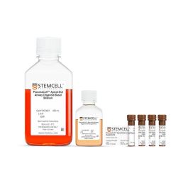 PneumaCult™ Apical-Out Airway Organoid Secretory Medium | STEMCELL Technologies